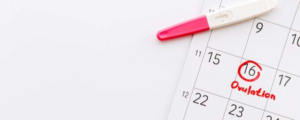 Are At-Home Fertility Tests Accurate? - Red Rock Fertility