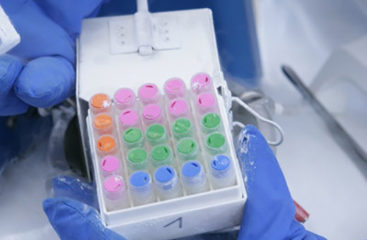 Our Clinic - Red Rock Fertility